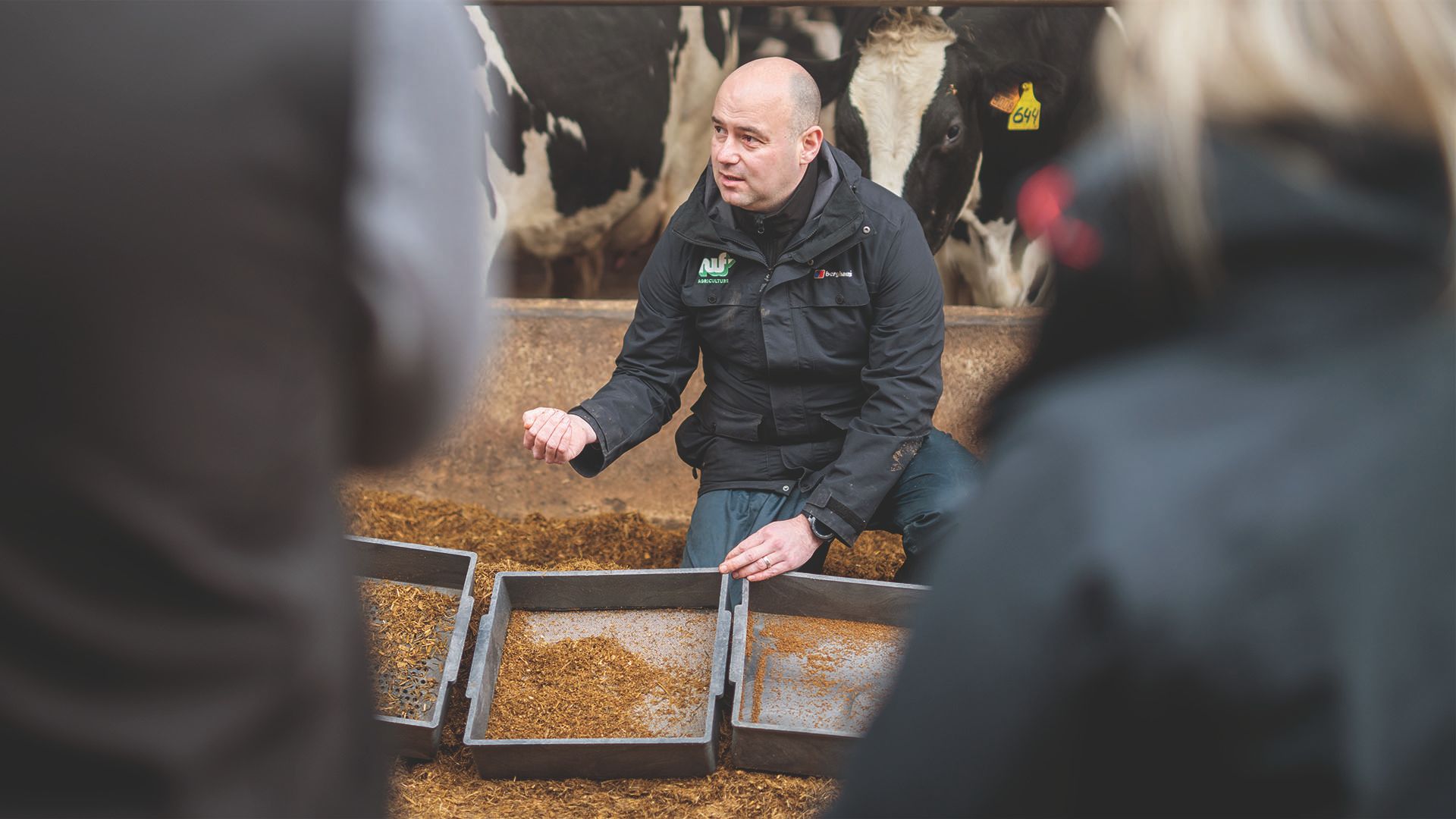 Feeds - NWF Group plc